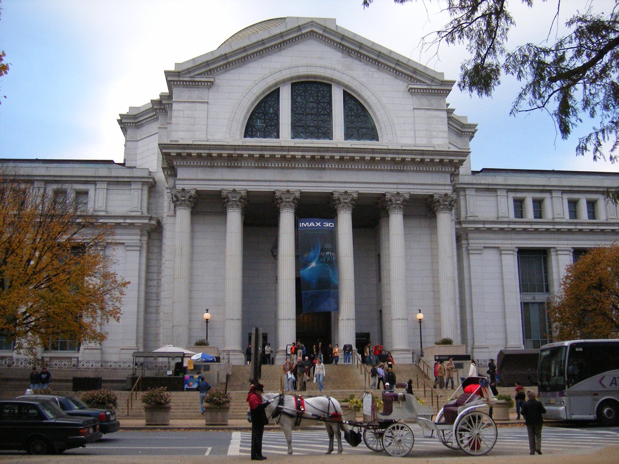 退職後 アメリカに行く話 | アメリカの博物館32選！【スミソニアン国立自然史博物館】【リンカーン記念館】 mohamoha86