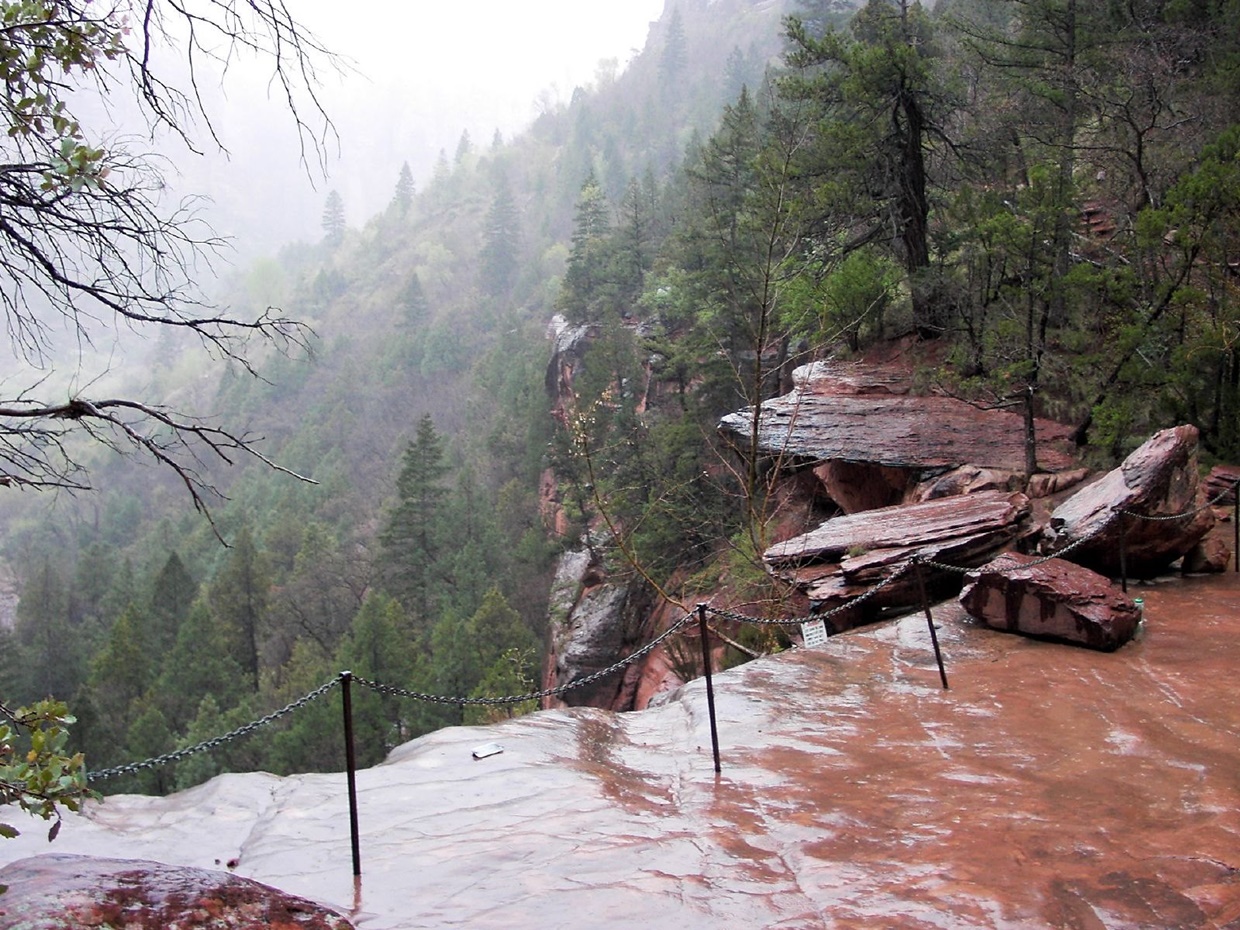 退職後 アメリカに行く話 | アメリカの国立公園32選！【ザイオン国立公園】 mohamoha116