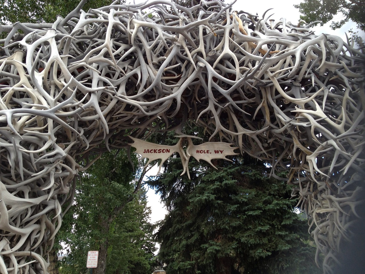 退職後 アメリカに行く話 | アメリカの国立公園32選！【グランドティトン国立公園】 mohamoha143