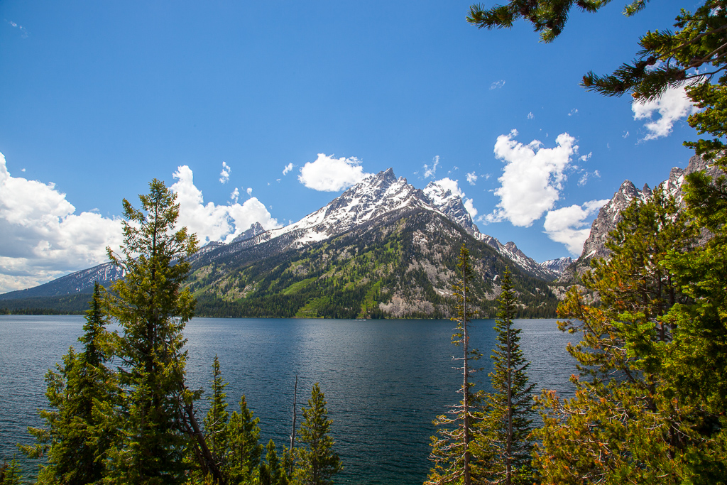 退職後 アメリカに行く話 | アメリカの国立公園32選！【グランドティトン国立公園】 mohamoha143