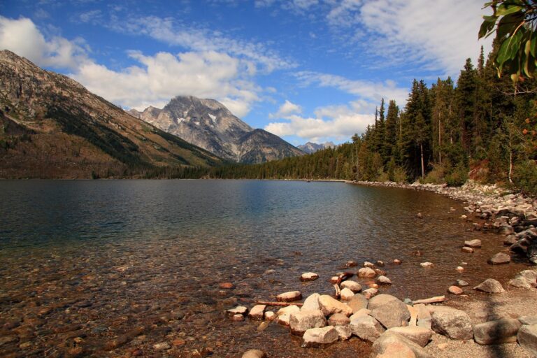 退職後 アメリカに行く話 | アメリカの国立公園32選！【グランドティトン国立公園】 mohamoha143